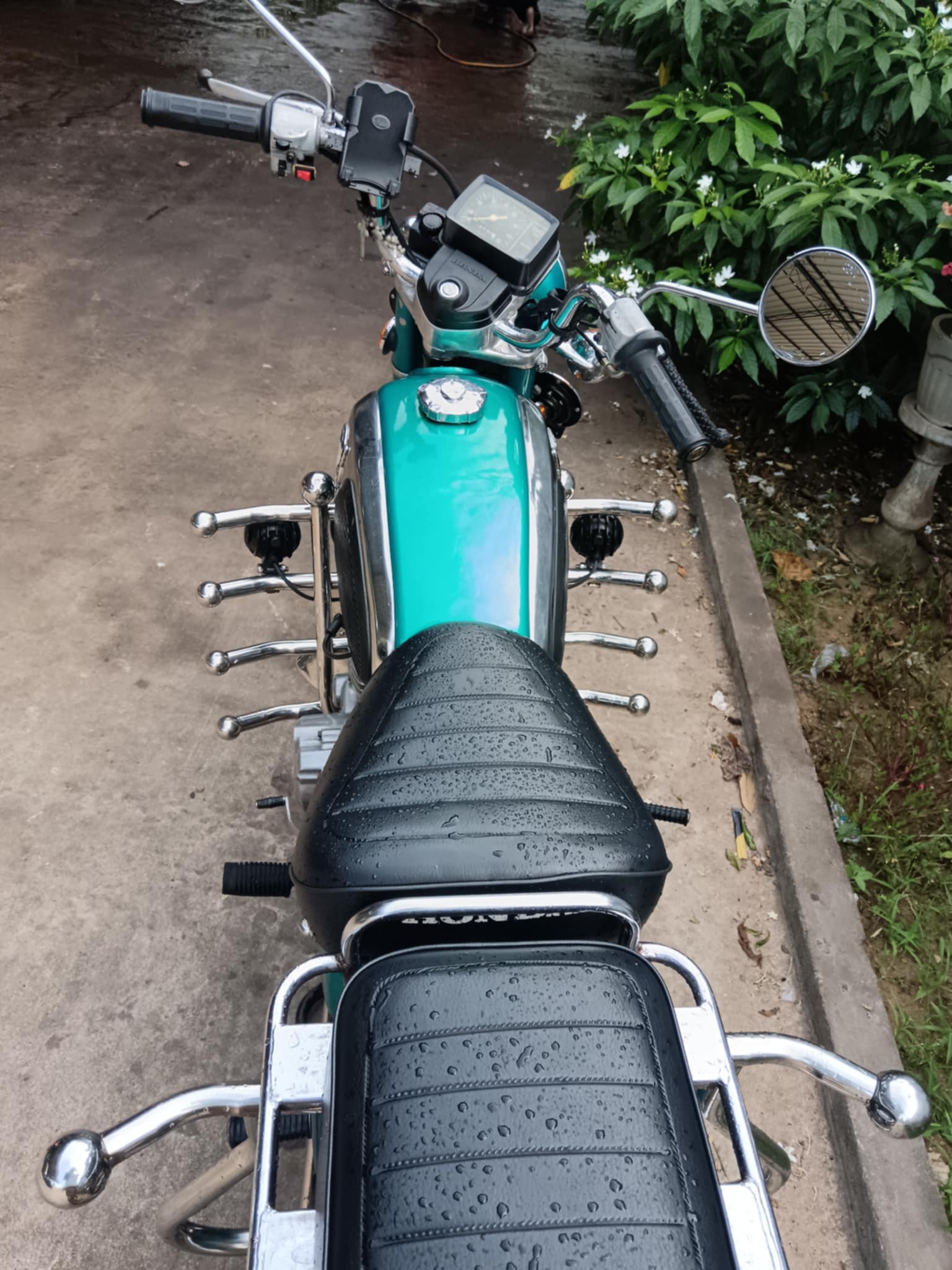 CD 185 RODE MASTER - Ad Details