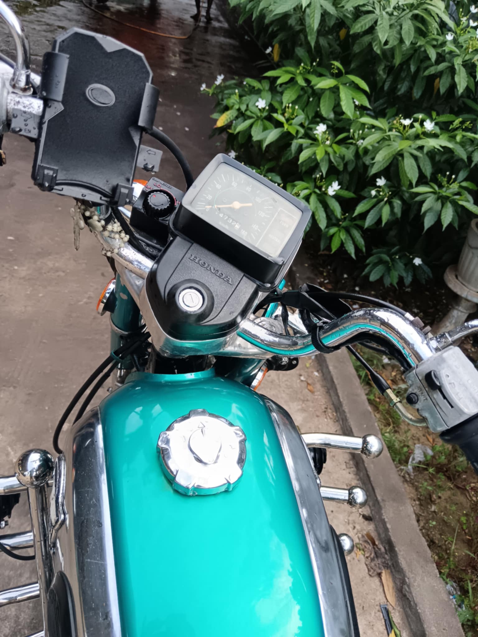 CD 185 RODE MASTER - Ad Details